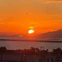 image.jpg?type=f204_204