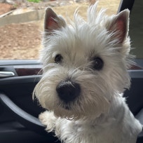 profileImage.jpg?type=f204_204