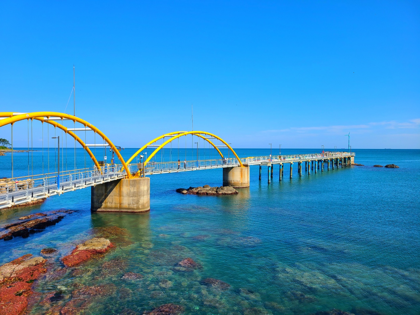 달콤한 댕이 블로그 분석 - 맛집 - 엔덱스